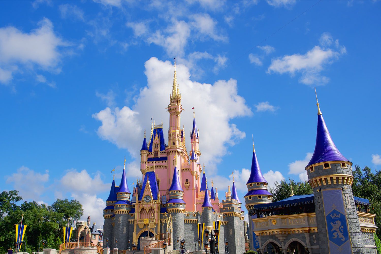 Renewable Energy Is The New Magic At Disney World