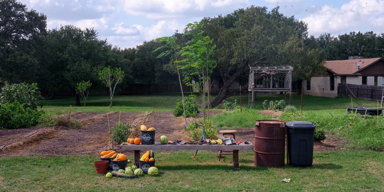 Tech Company Grows Office On Functioning Farm
