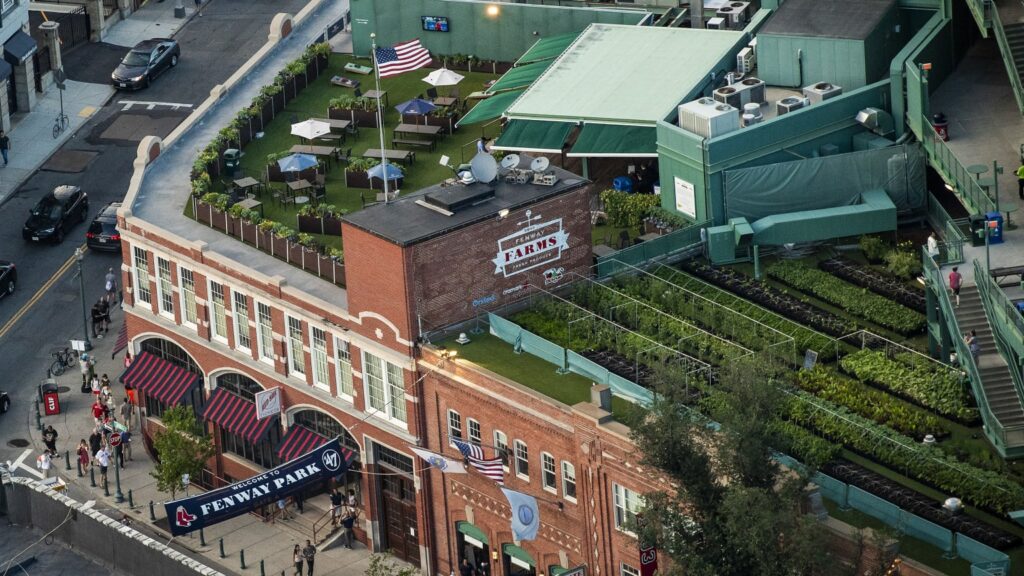 Fenway Park’s Got More Green Than Just The Green Monster