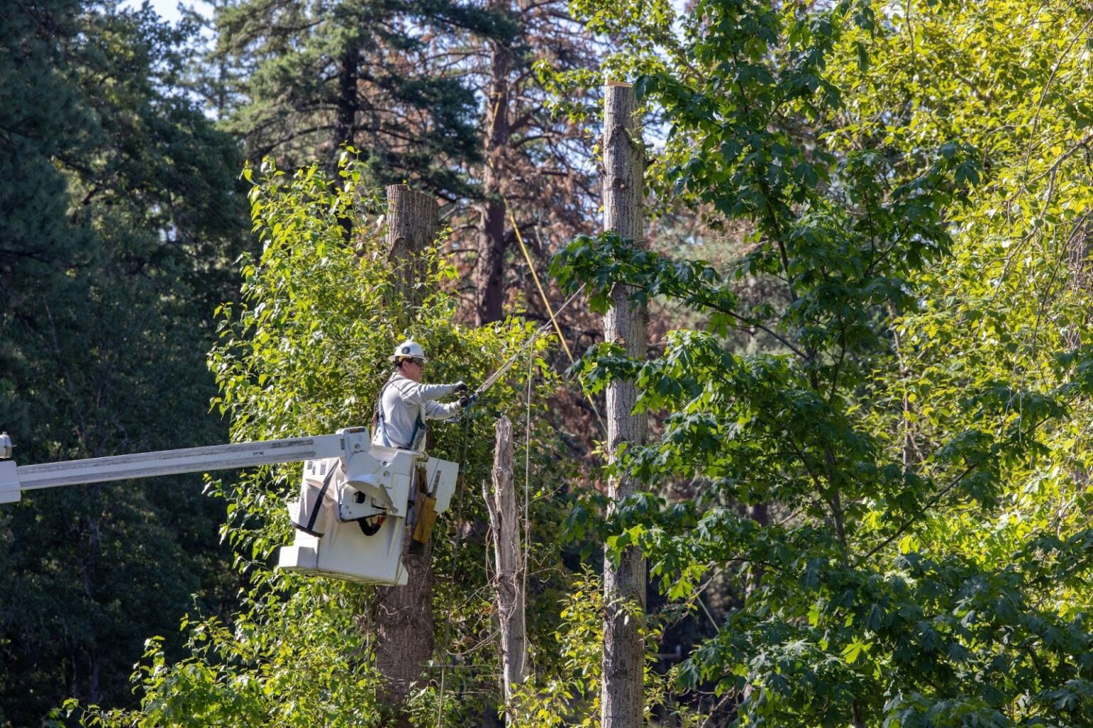 Rocky Mountain Power Helps Utahns Save Money